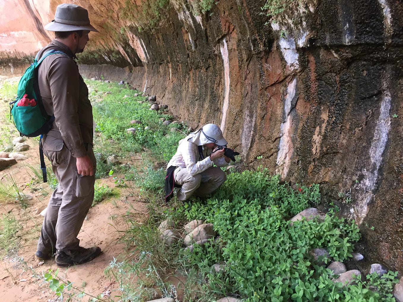 A Journey to Cathedral in the Desert | by Jack Stauss | River Talk | Medium