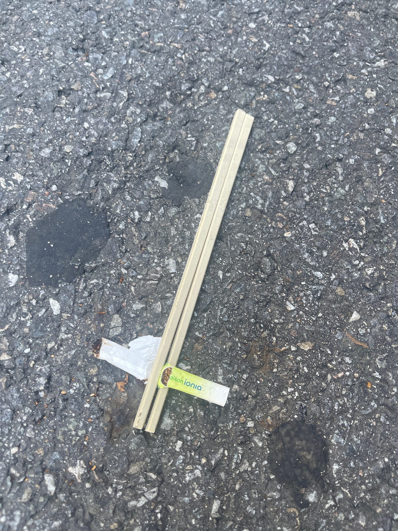 The Dire Wolf Came Back… Now What the Hell Are We Going to Do With This Technology? | by sir.sk ...