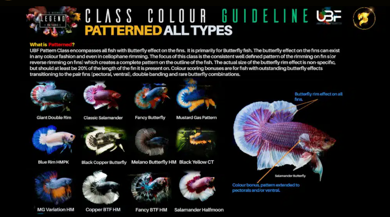 Learning Your Medications for Bettas - Nice Betta Thailand - Medium