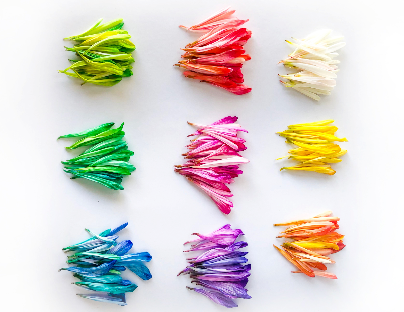 Using Magic Methods in Python. How Magic Methods Can Enhance our… | by Stephen Fordham | Towards ...