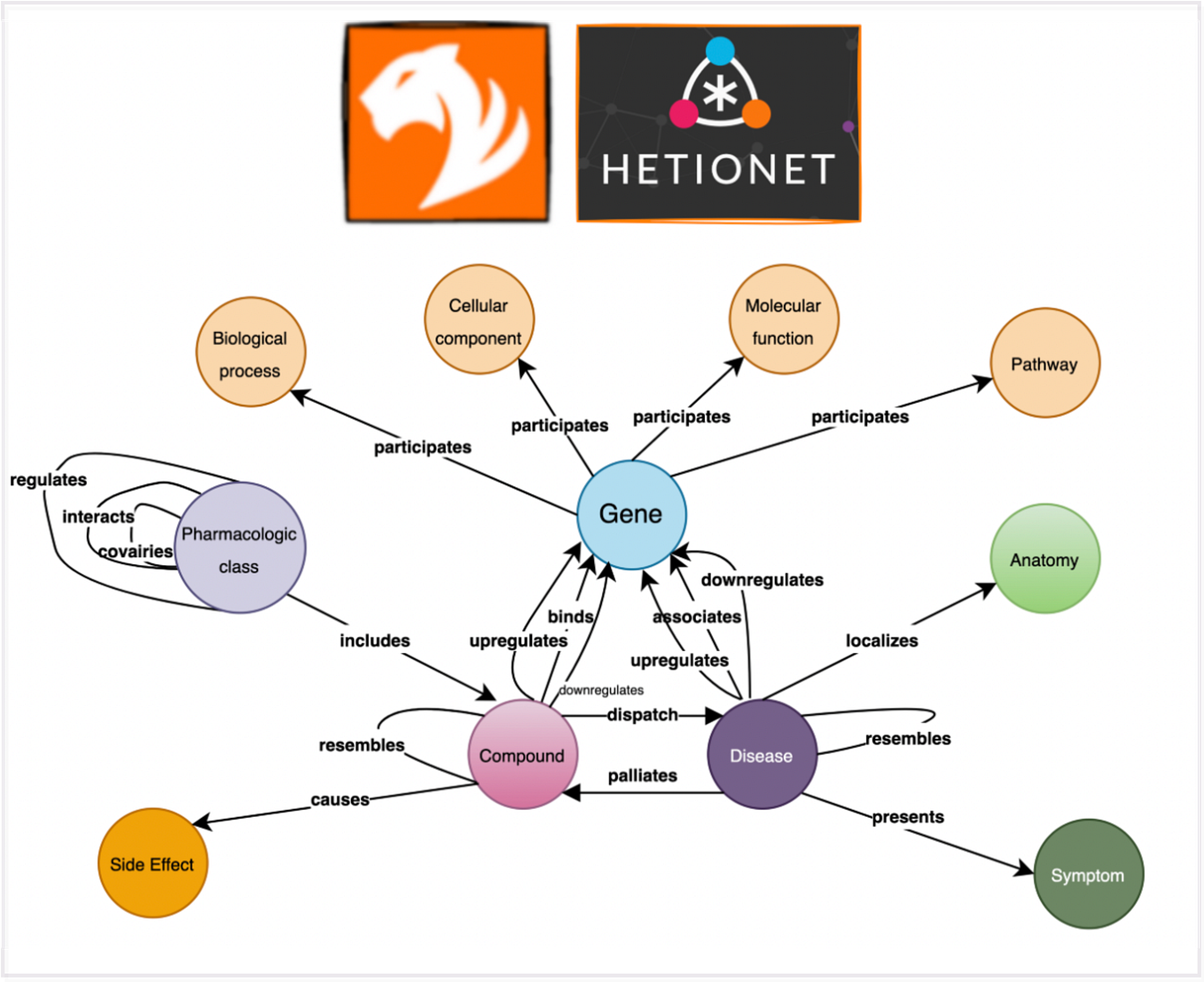 Implementing a Biomedical Knowledge Graph Using BERN2 and TigerGraph ...