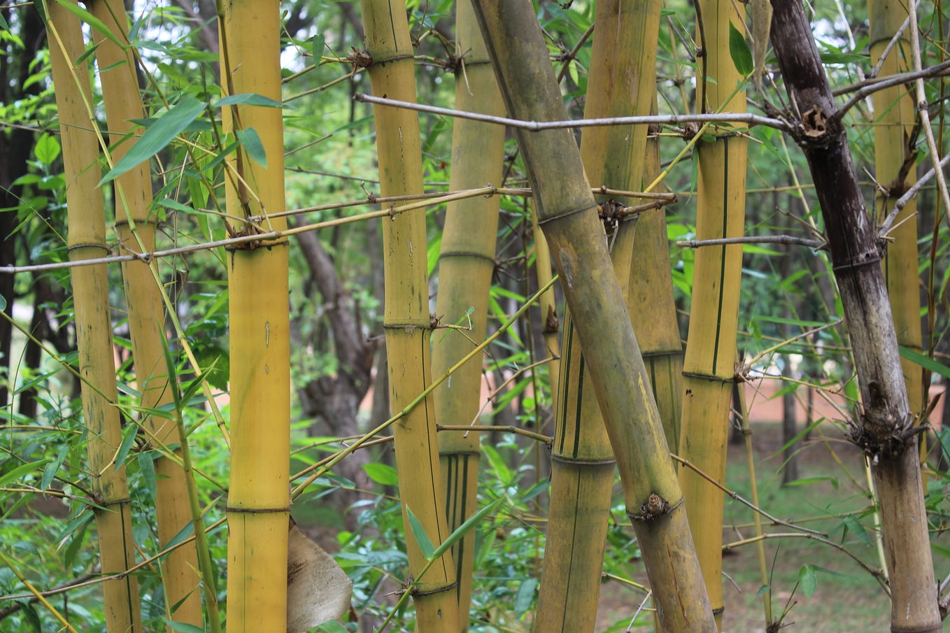 JS Promise (Part 1 - Basics). One of the good Features in ES6 is… | by ...