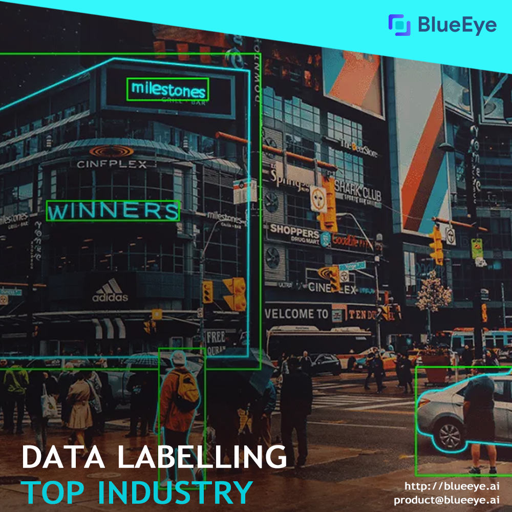 DATA LABELLING AND HEALTHCARE INDUSTRY | by BlueEye Product | Medium
