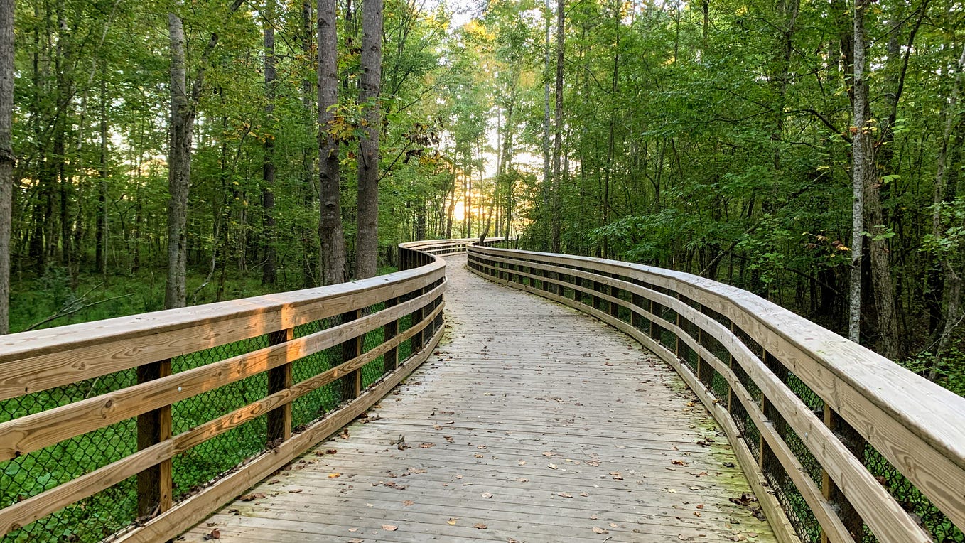 Art to Heart Trail. The Art to Heart trail is a 6 mile… | by Gina James ...