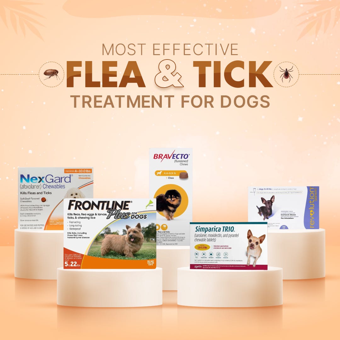Why Regular Pet Health Check-Ups Are Crucial for Your Furry Friend | Medium