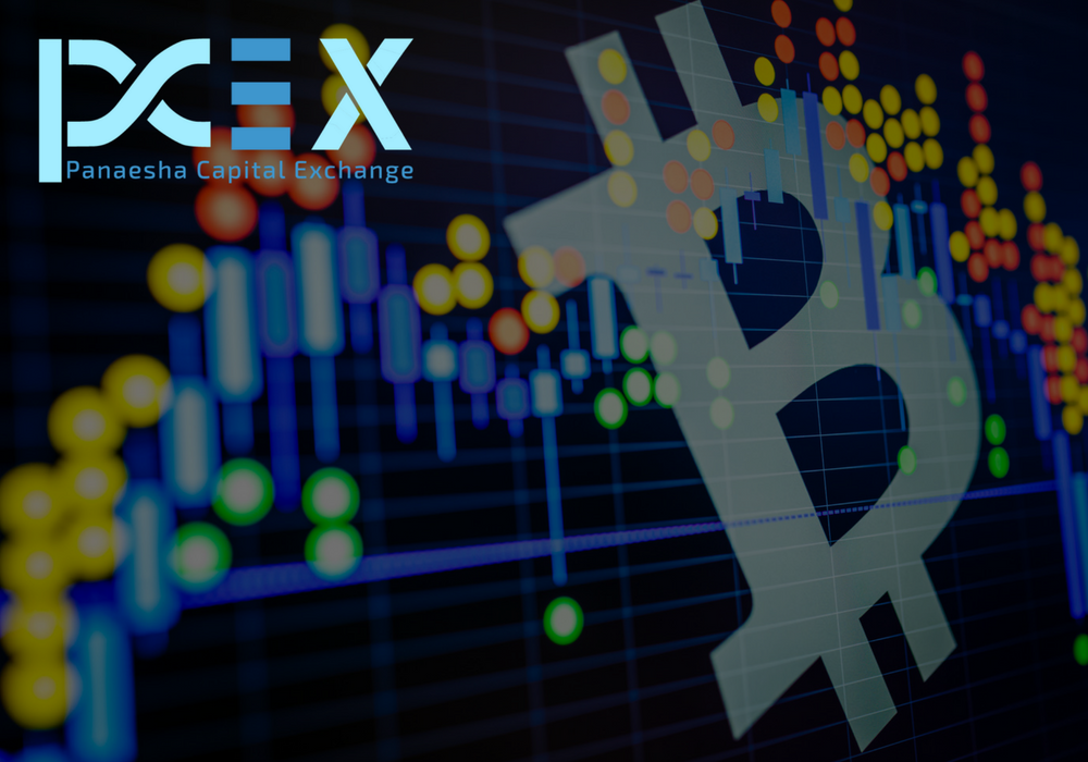 How does PCEX benefit Customers?. Crypto-exchanges are platforms for ...