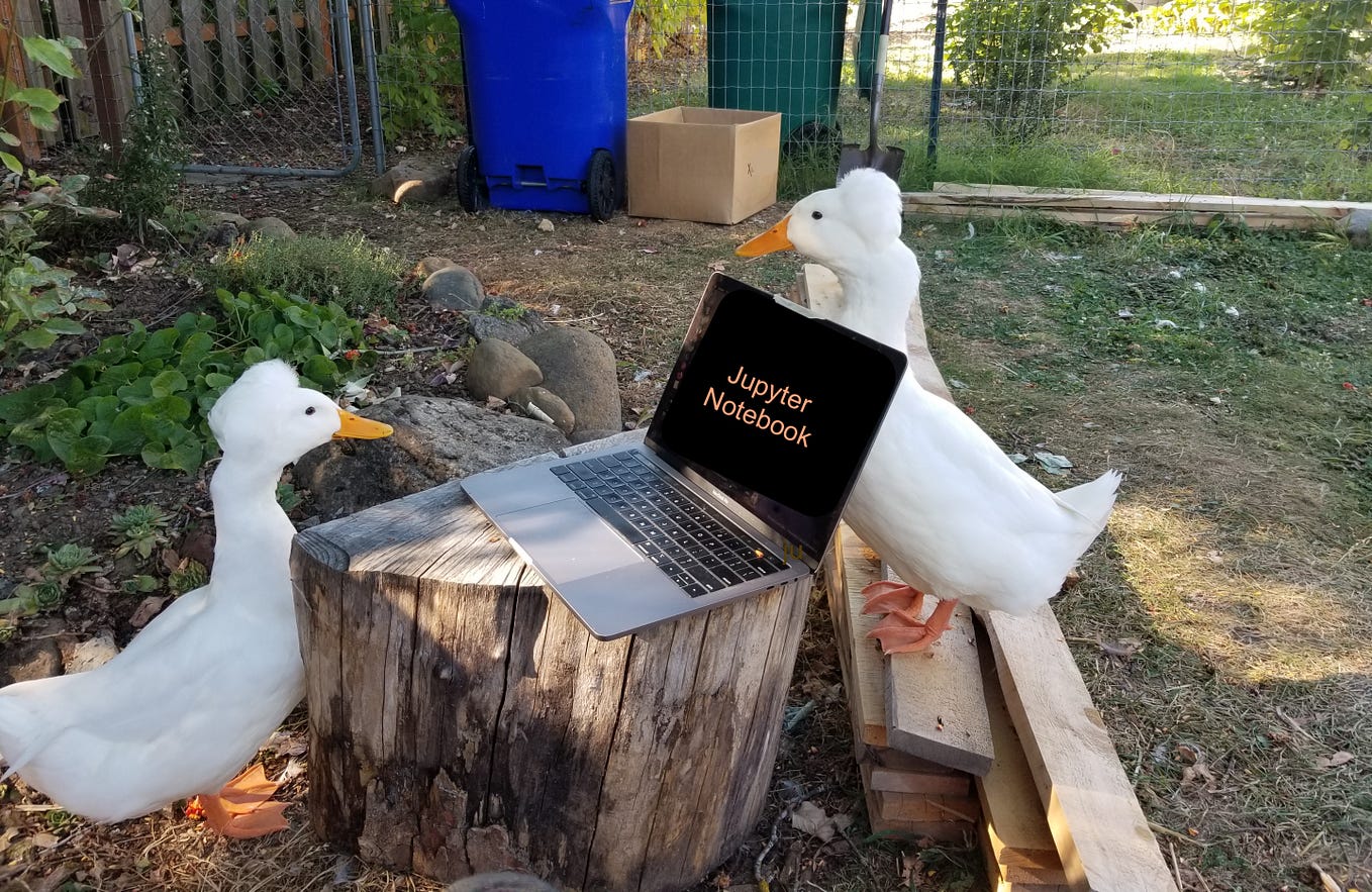 5 Slides For Tips On Presentation Mode In Jupyter Notebook By Sabi Horvat Towards Data Science