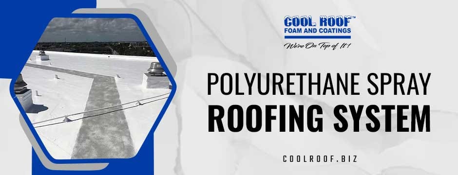 Extend the Life of Your Roof with Silicone Roof Coating Spray from Cool ...