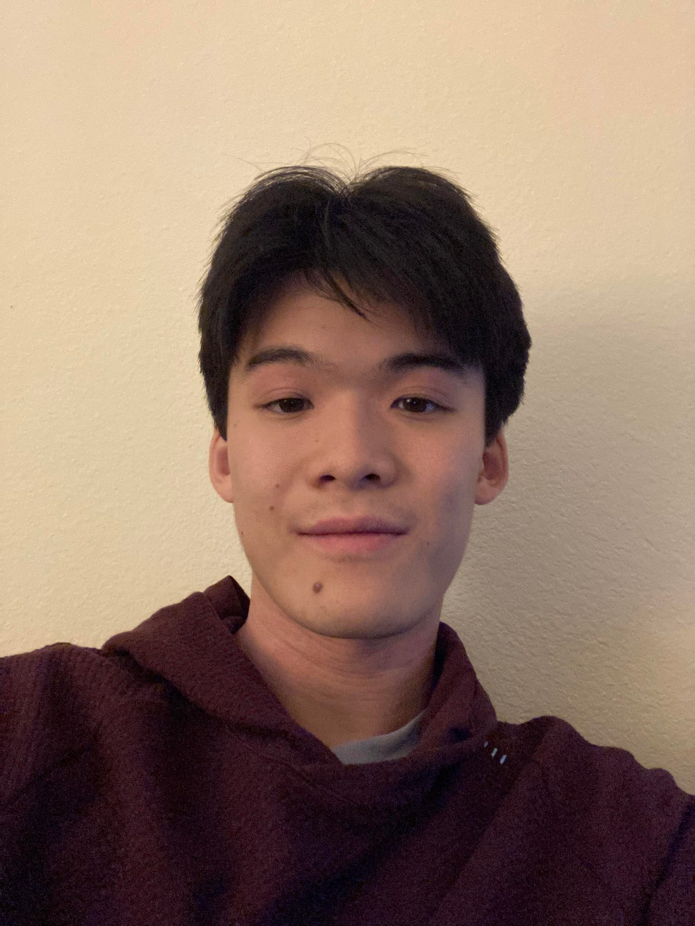 CS 371p Spring 2023: Ray Yin: Final Entry | by Ray Yin | Medium