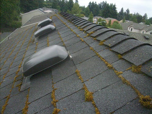 roof demossing. West Coast Roof Cleaning | by Josh Del Begio | Medium