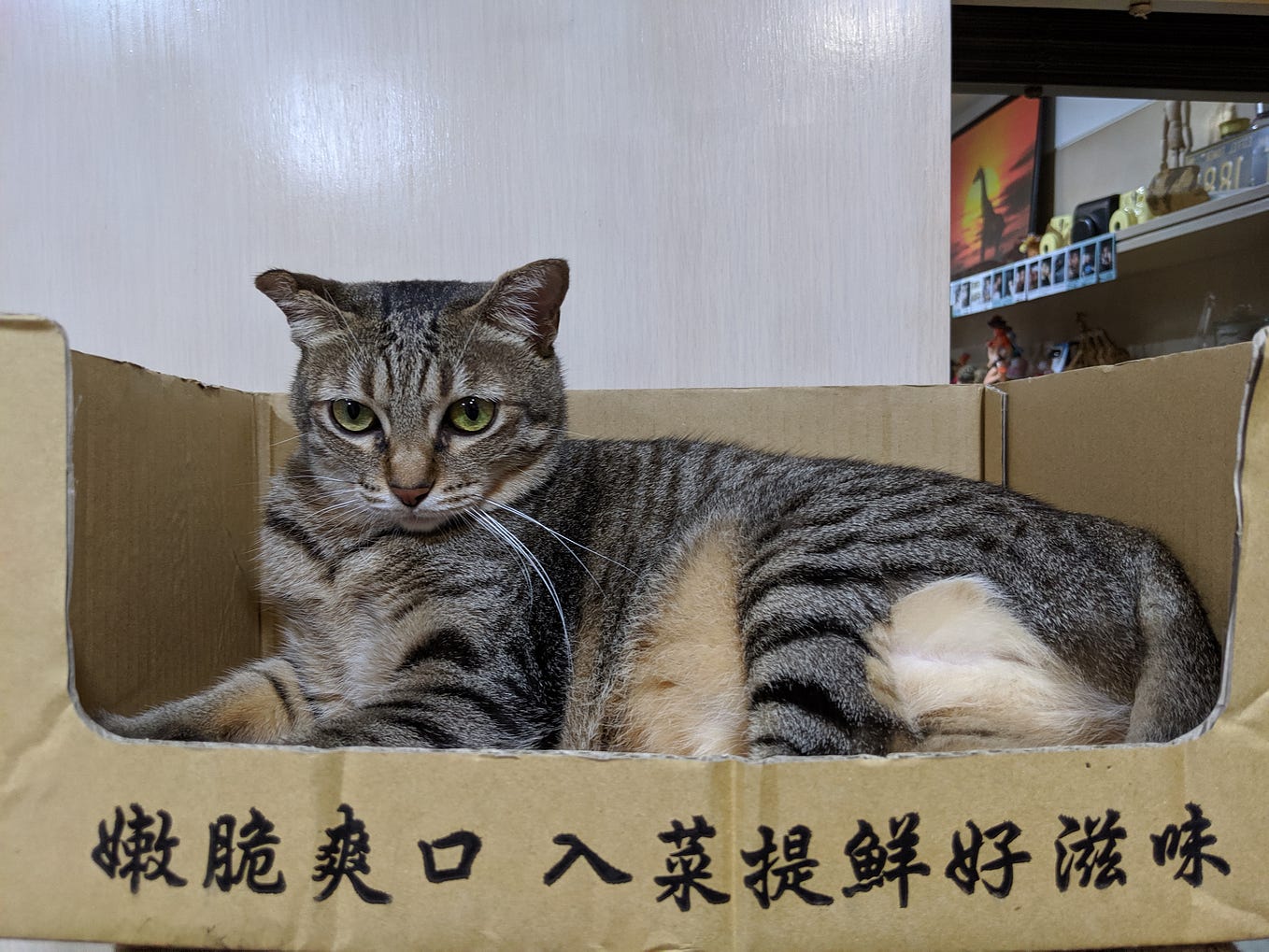 Android Compose: Trigger Events from ViewModel with SingleLiveEvent | by 周家賢 | Medium