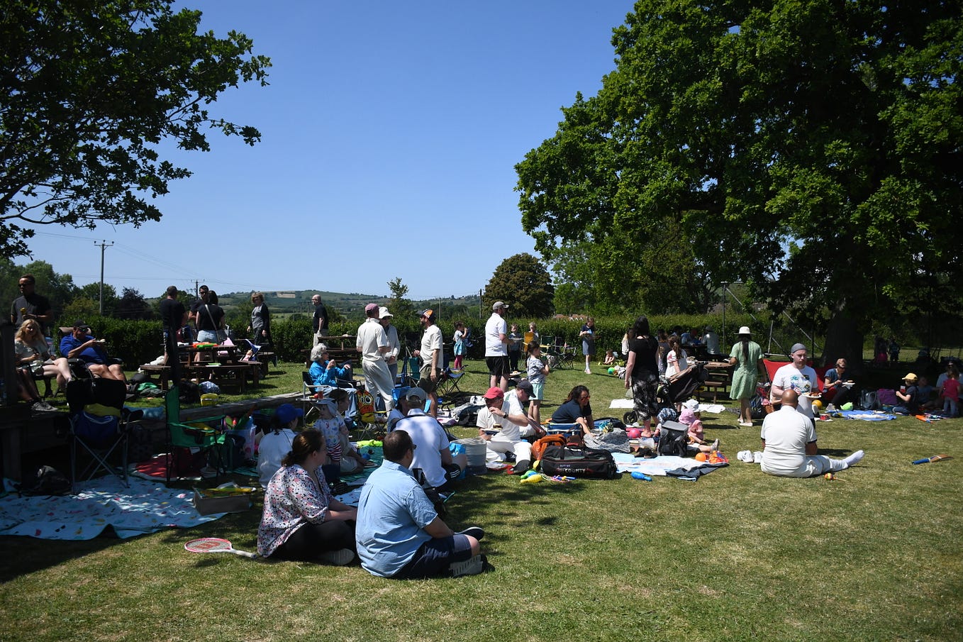 Introducing the Friendly Cricket Collective | by Friendly Cricket Collective | Medium