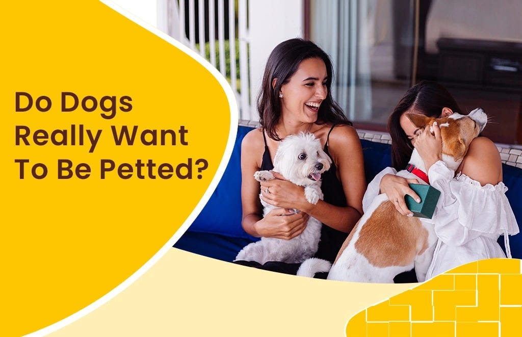 The Emotional and Mental Benefits of Owning a Pet: A Source of Joy ...