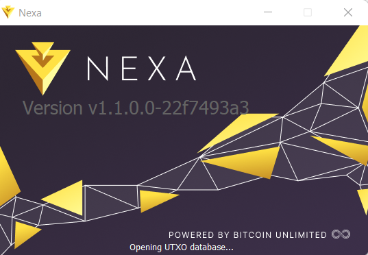 Nexa: All you need to know. $Nexa is building a scalable layer-1… | by ...