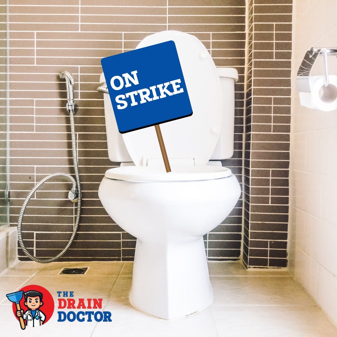 Why Pinecrest Residents Shouldn’t Neglect Drain Cleaning | by The Drain ...