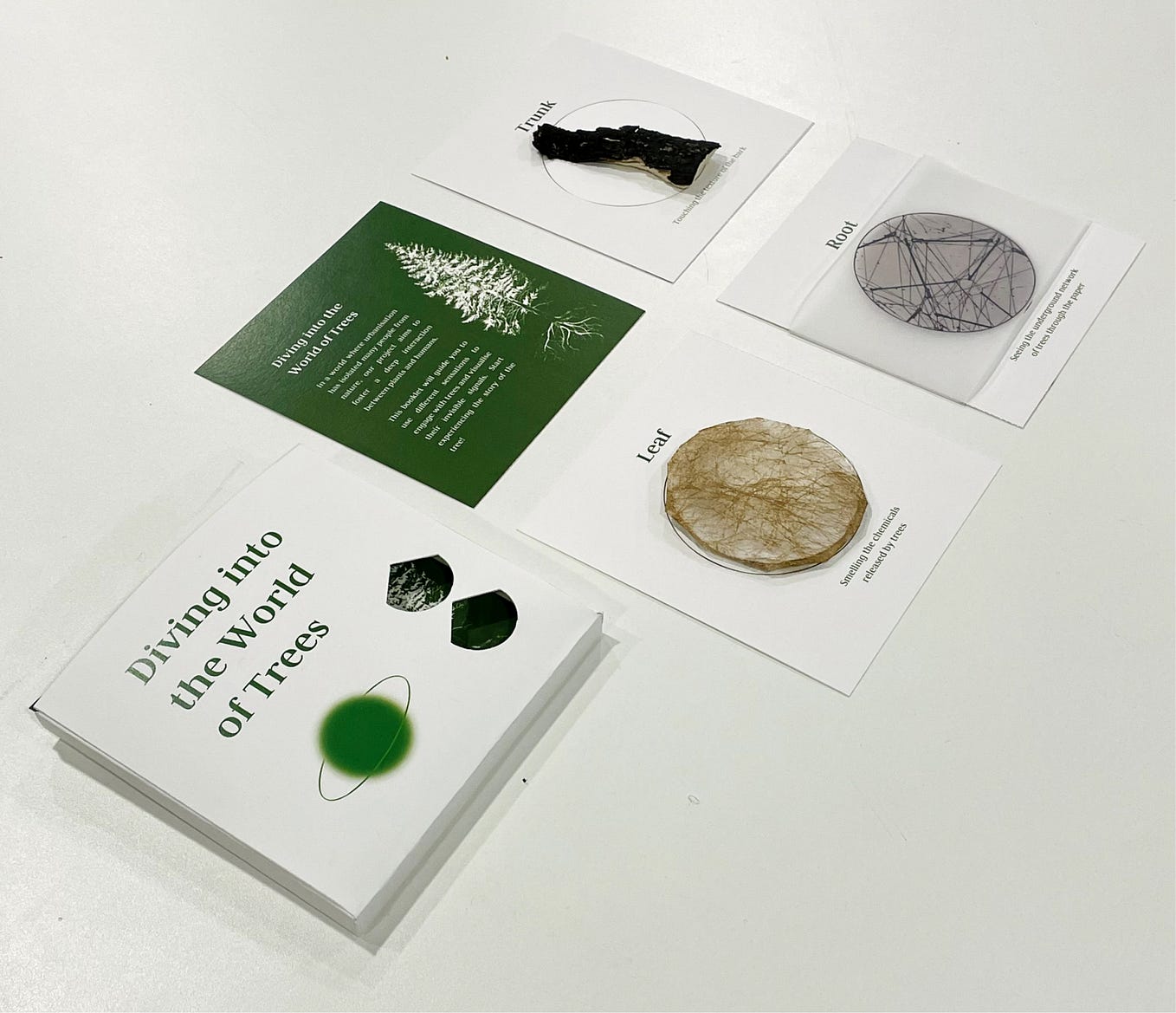Signals from plants (1)/ Final Major Project | by Fangxue Chen | Medium