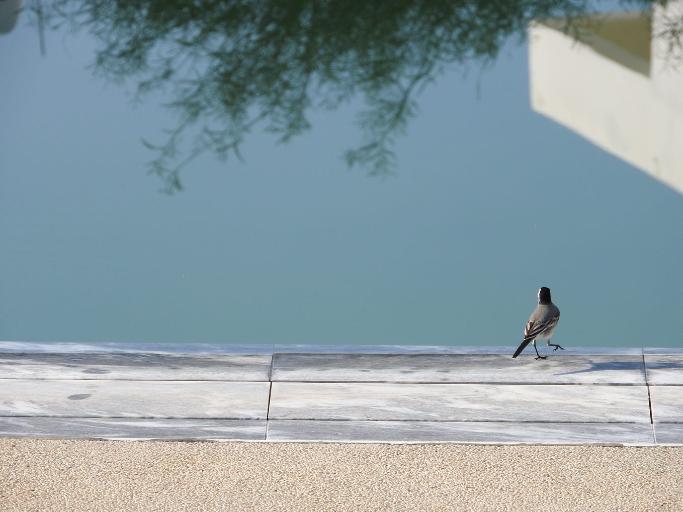 Soften Our Hearts. A lesson from Pharoah | by Olive Wilson | Koinonia ...
