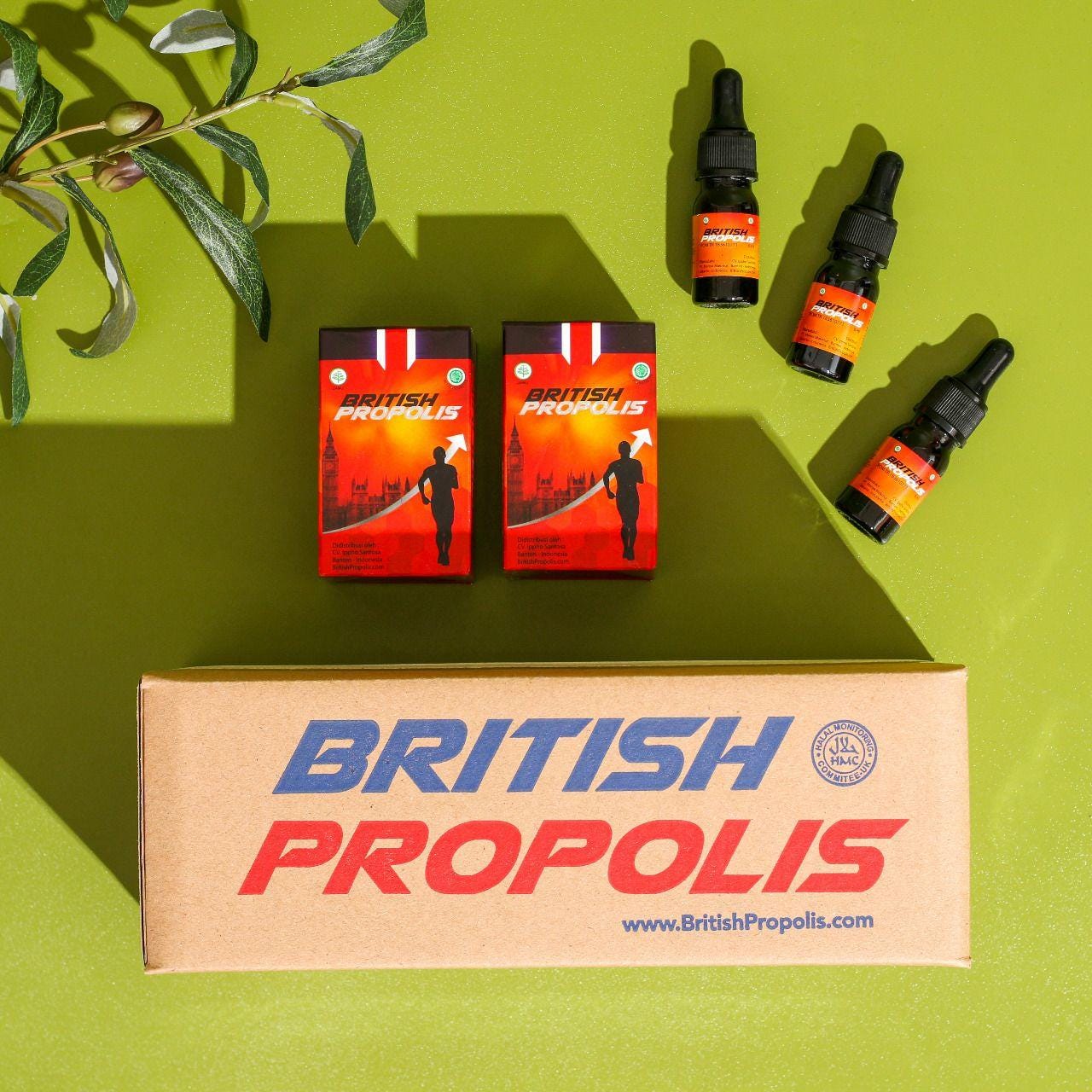 Harga British Propolis - British Propolis - Medium