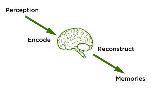 Cognition and Perception in HCI. My key takeaways from the IDF’s ...
