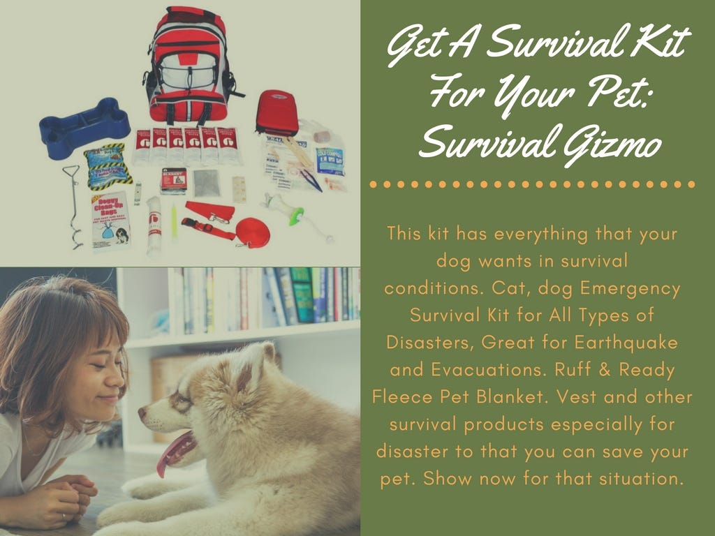 Disaster Preparedness. Disaster preparedness refers to… | by ...