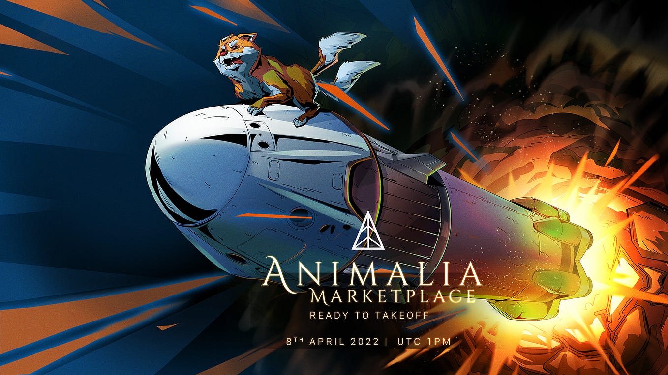 Animalia Game Development Updates #2: Collection/Build Your Deck | by ...