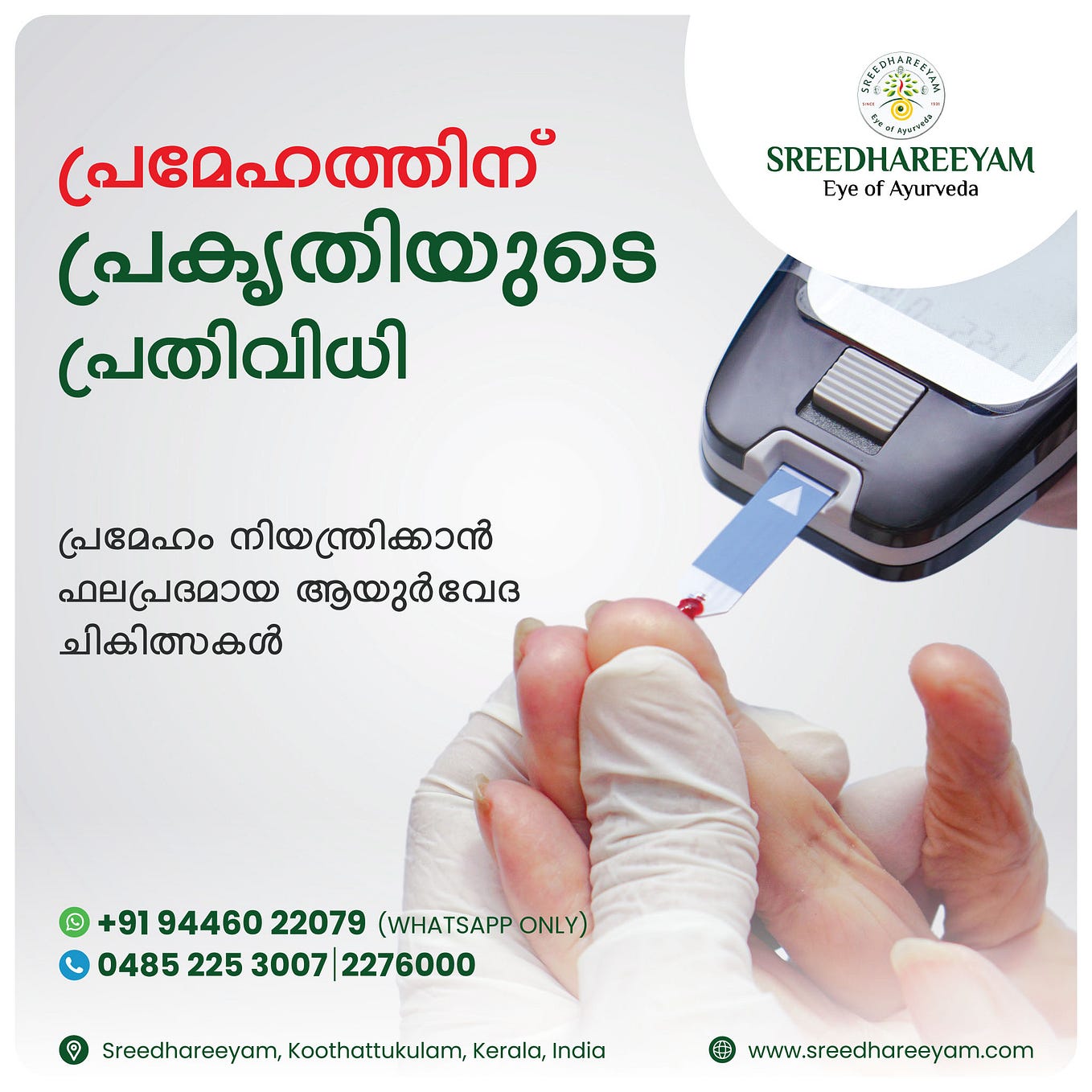 Ayurveda Eye Protector — Sreedhareeyam Sunetra - Sreedhareeyam - Medium