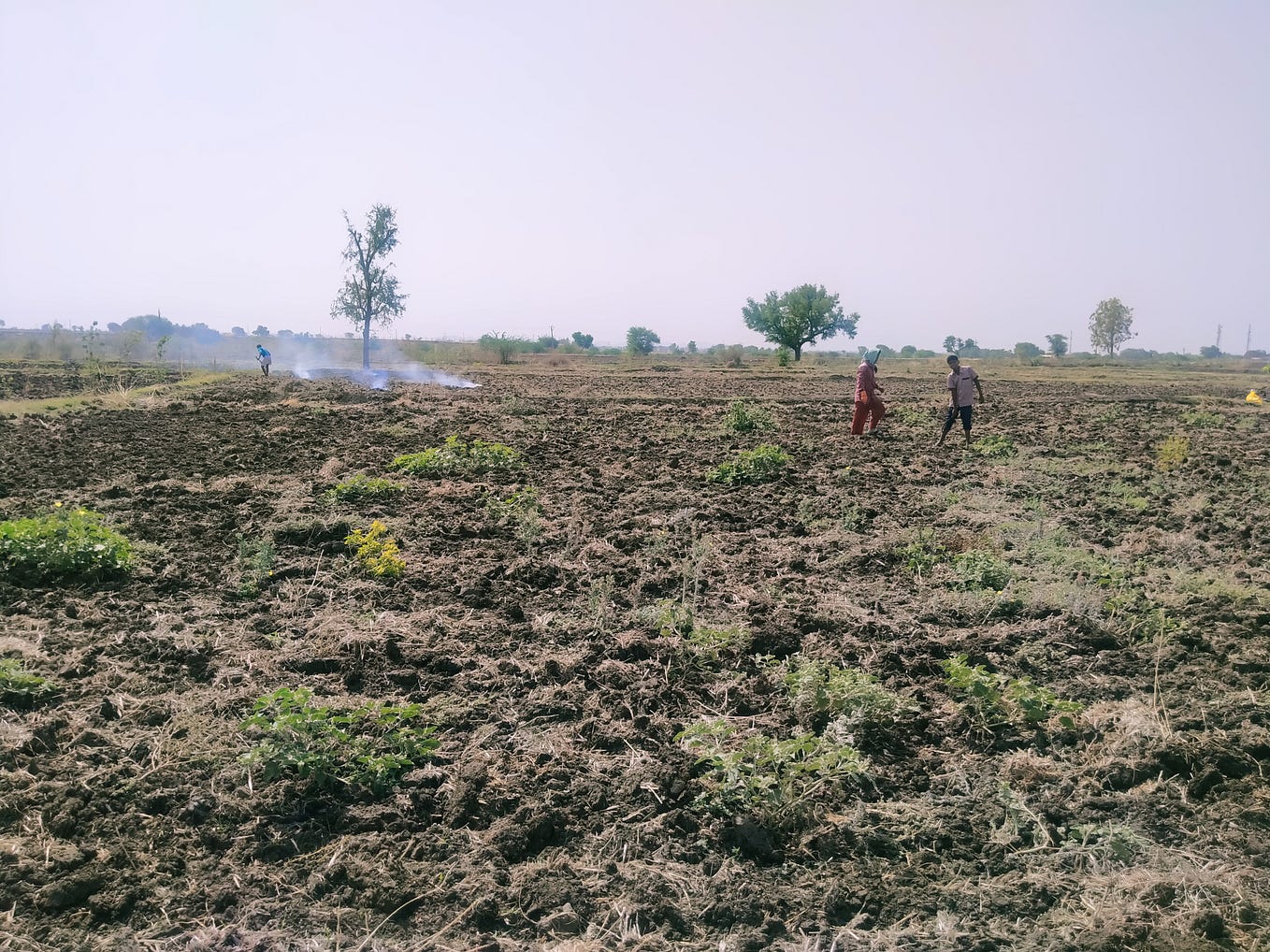AREST’s Seven-Step Plan to Restore Degraded Land in Peninsular India ...