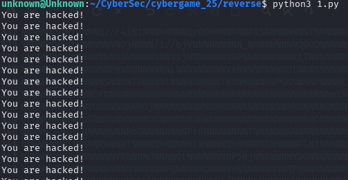 PicoCTF — Flag Hunters. Solution to PicoCTF 2025 Reverse… | by Pi - The Kernel Panic | Medium