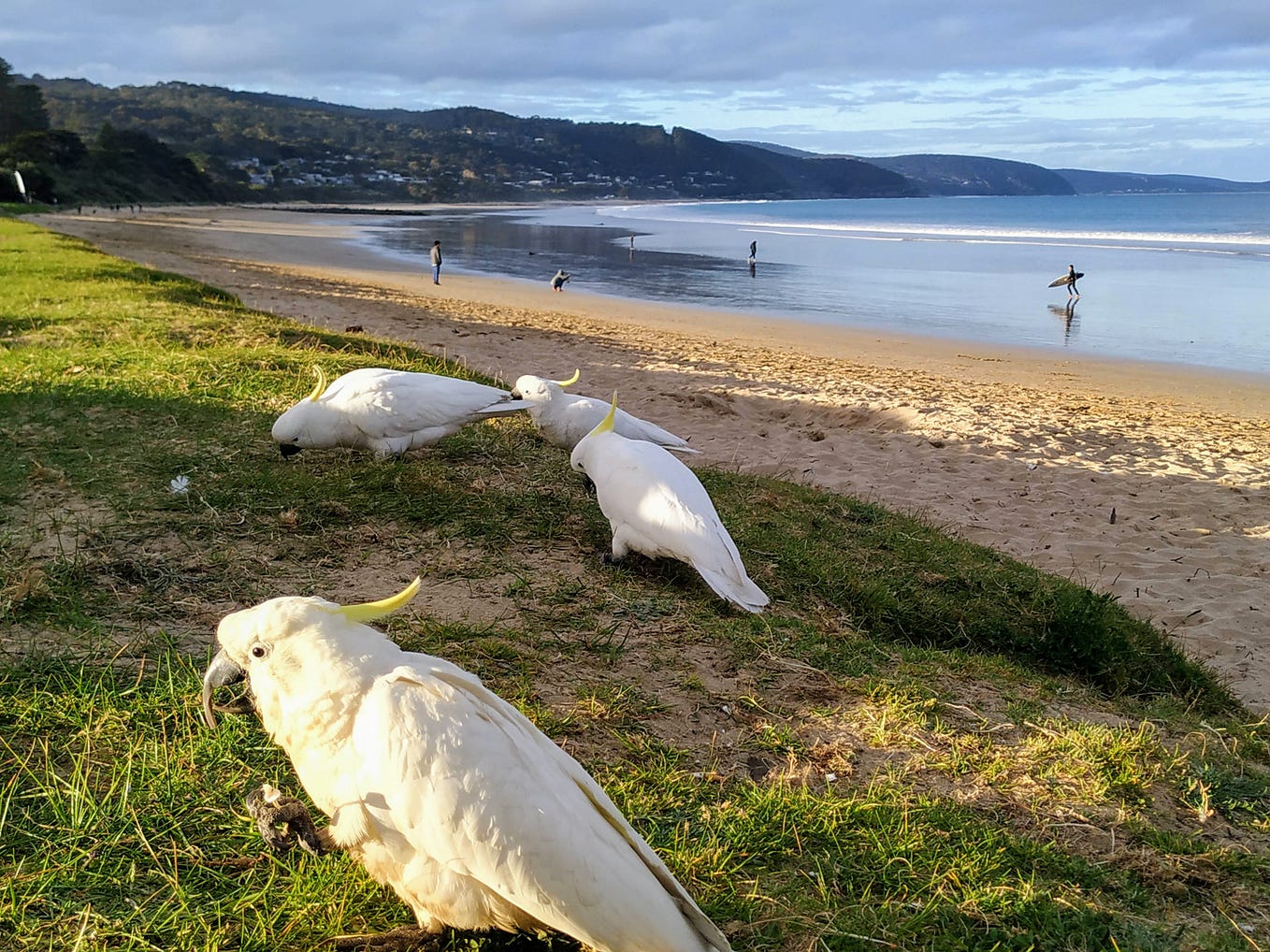 Develop C++ on Docker with VSCode | by Amir Aharon | Medium