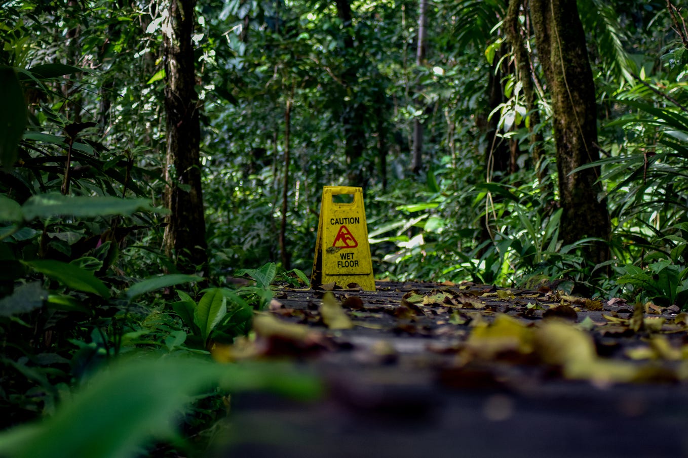 Long-lasting trips, unexpected gems, and the flu | by Jules @ Stubborn ...