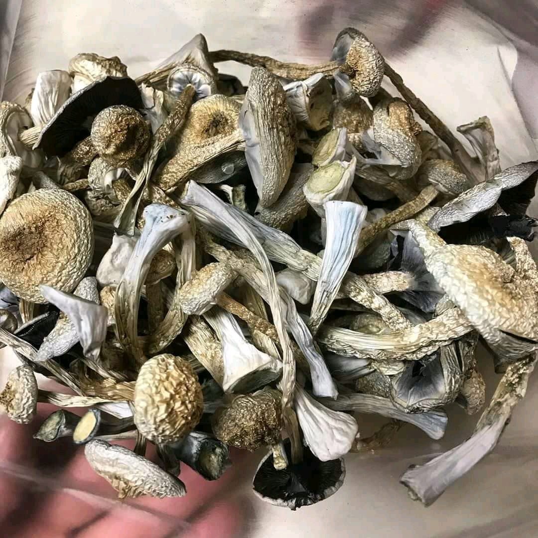 Everything you need to know about DMT | by psychedelics and drugs | Medium