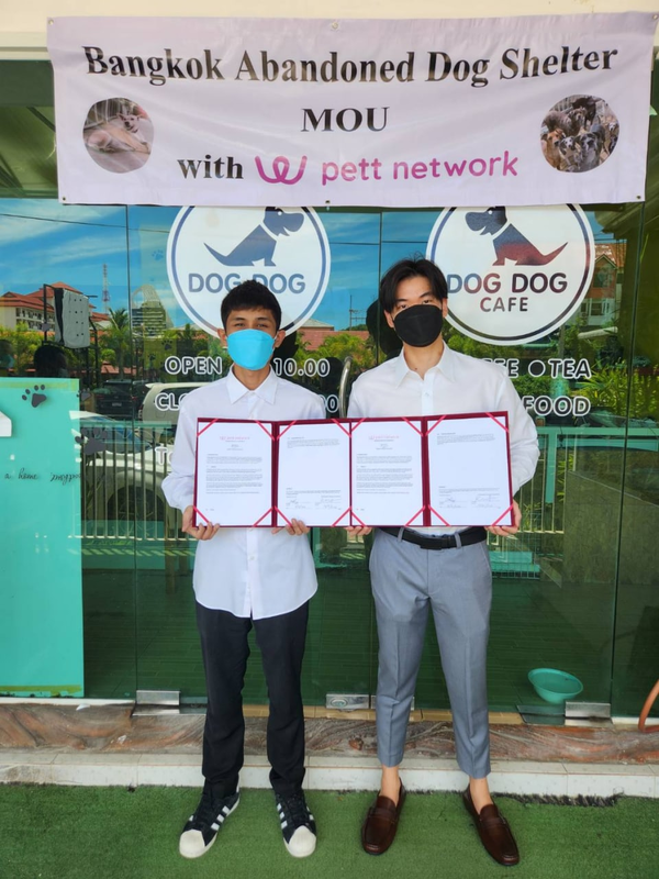 [PET NETWORK] - Pett Network - Medium