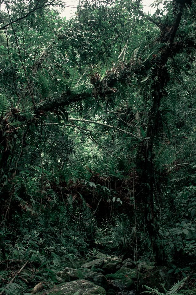 Maduma. A witch’s story | by Kandake | Oct, 2024 | Medium