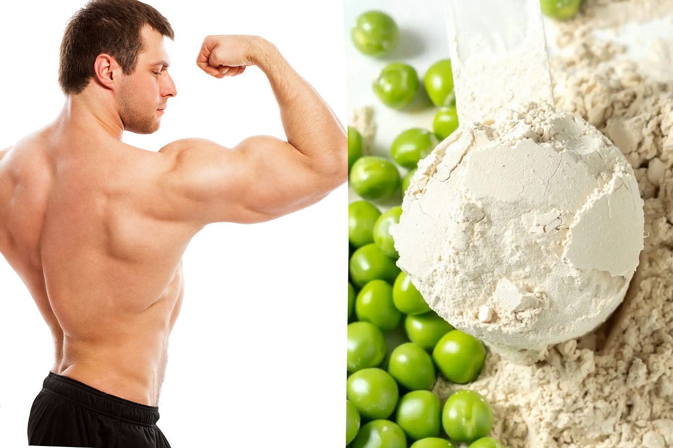 Body Fortress Whey Protein for Weight Loss: The Ultimate Guide ...