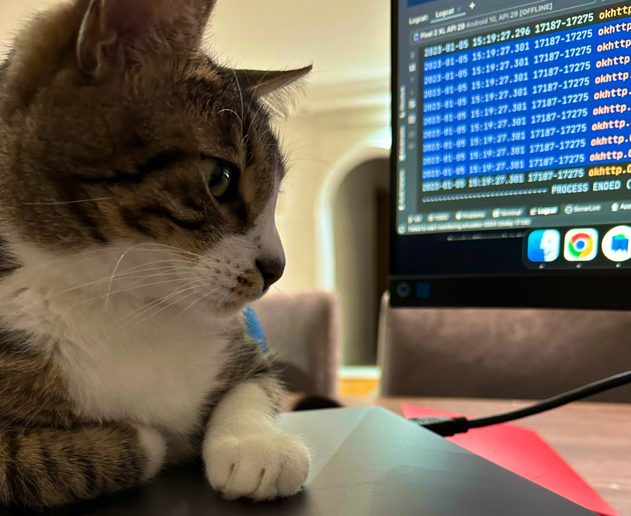 An Effective Testing Strategy For Android Part 1 By David Guerrero Proandroiddev