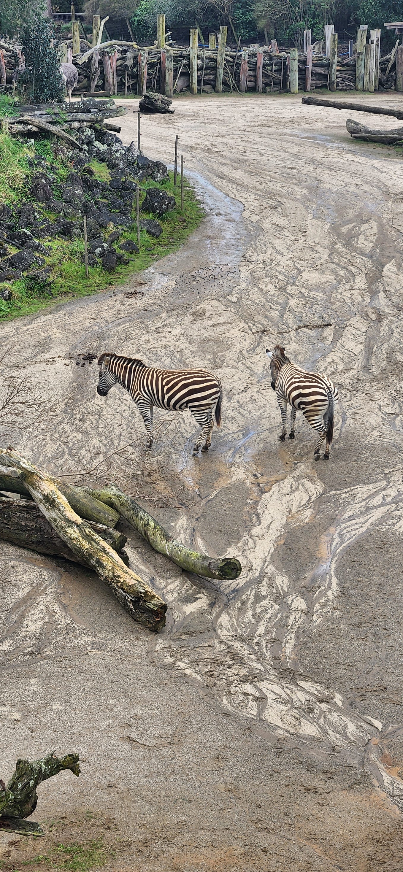 Holding The Conversations. Conversational AI systems are usually… | by Shivam Dutt Sharma | I am ...