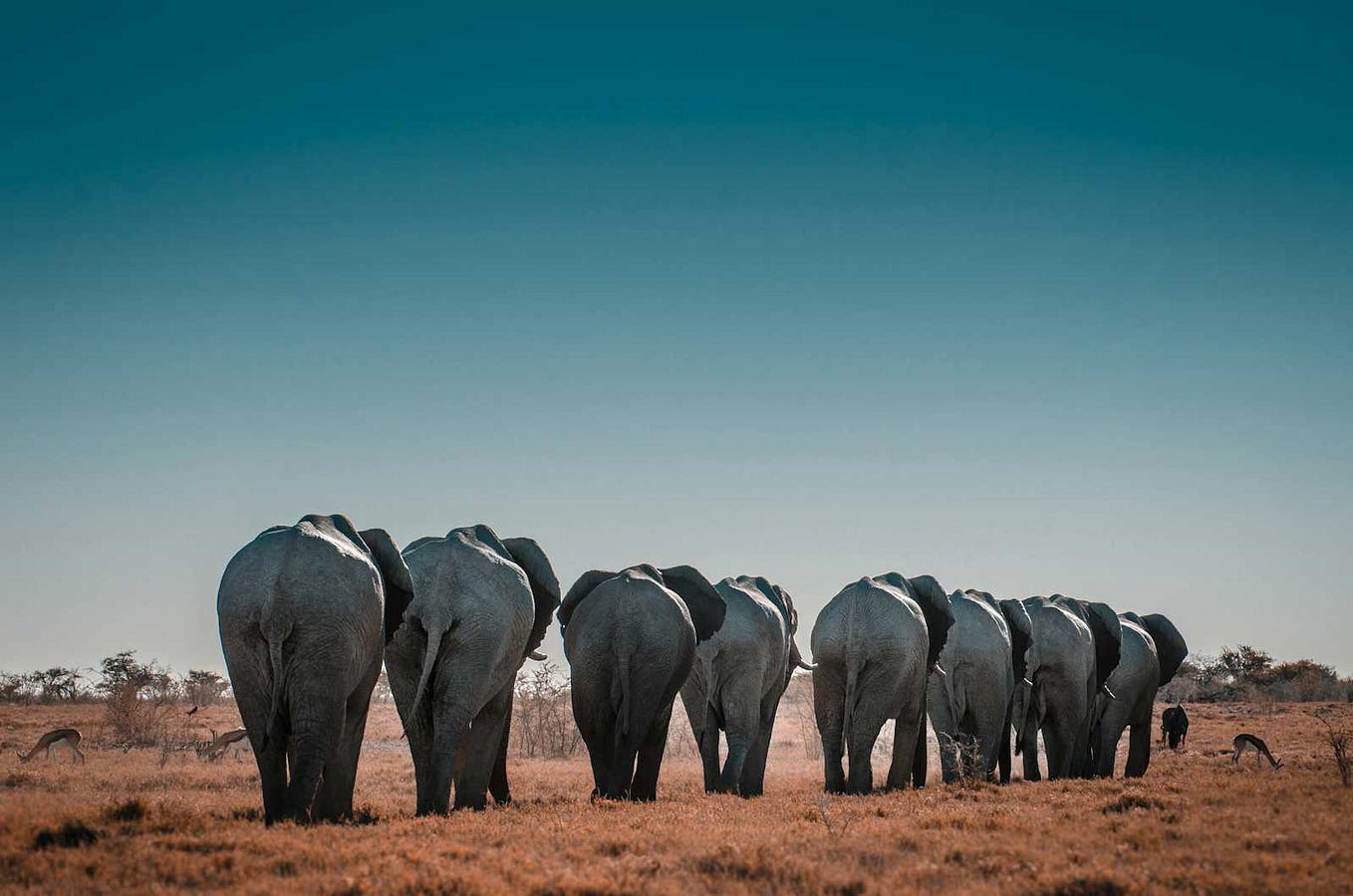 Setting Up PostgreSQL HA & Cross-Cluster Replication using Zalando ... Setting Up PostgreSQL HA & Cross-Cluster Replication using Zalando ...