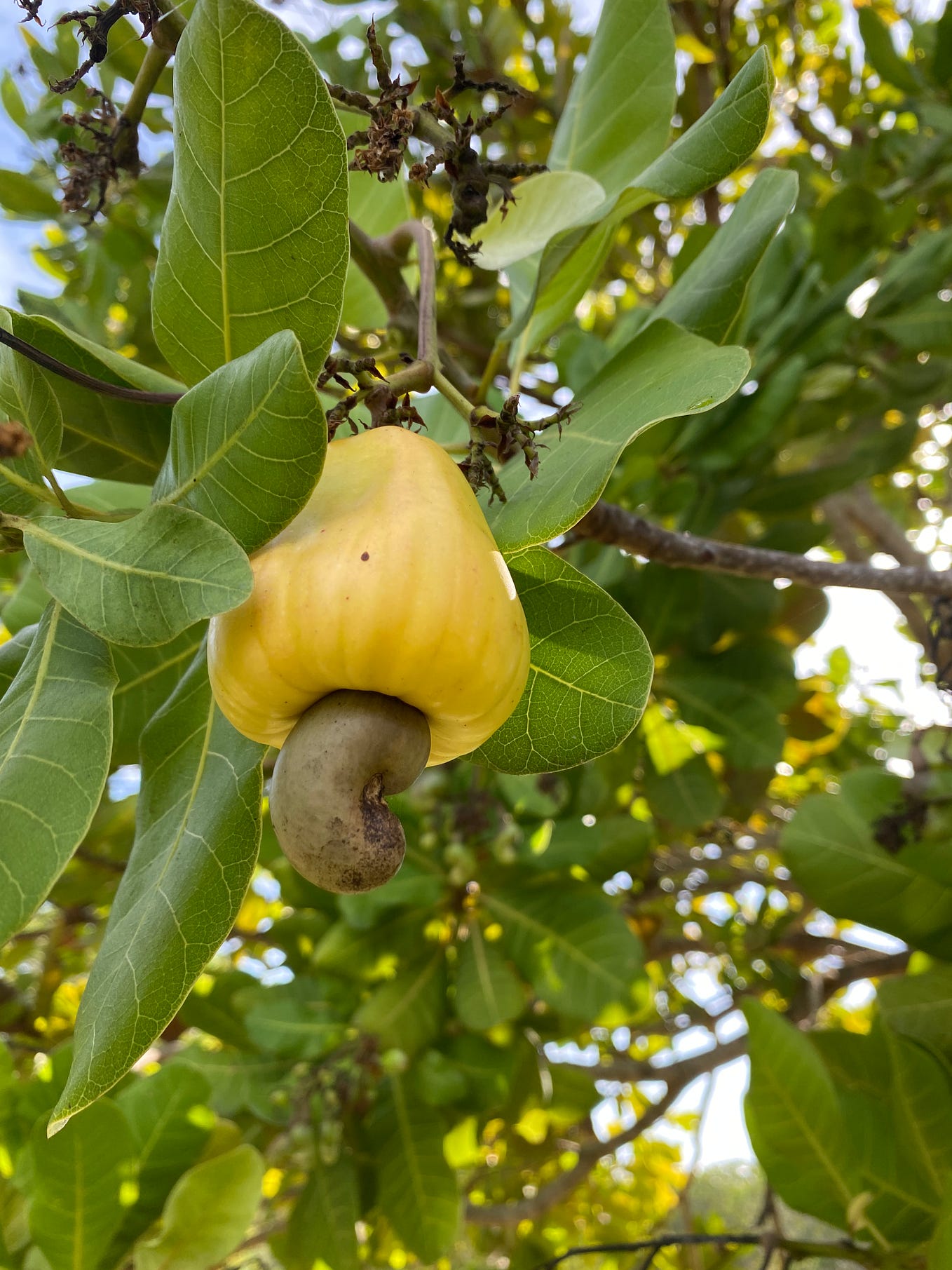 Organizing Flask API with Blueprint | Better Programming