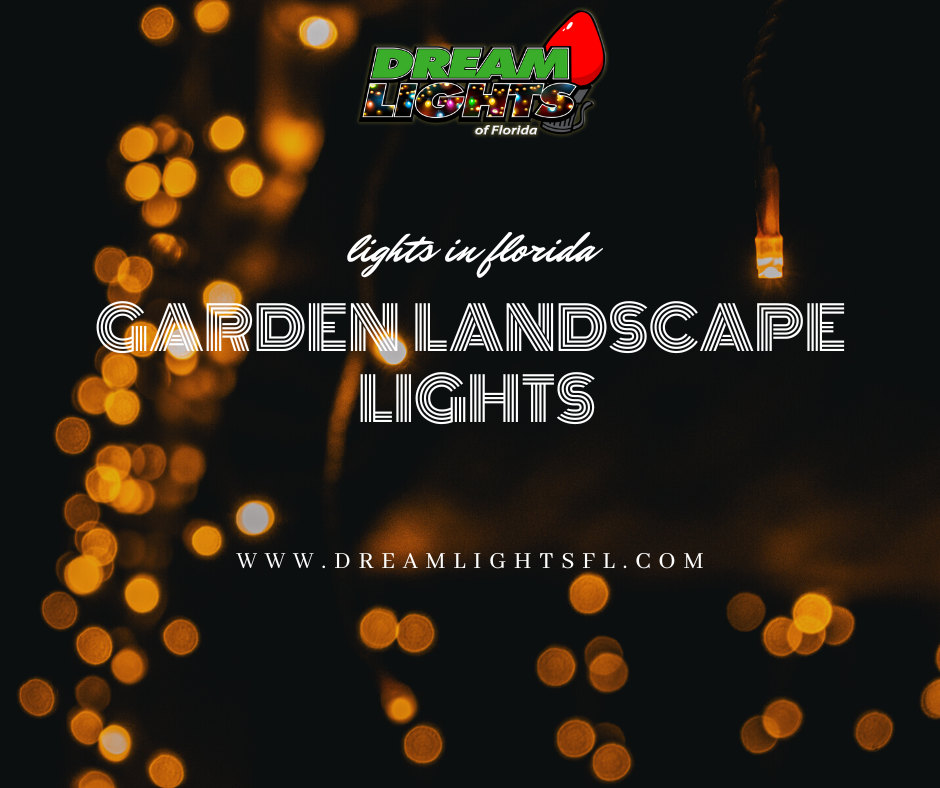 Light Up Your Evenings: Dream Lights of Florida’s Pool Enclosure ...