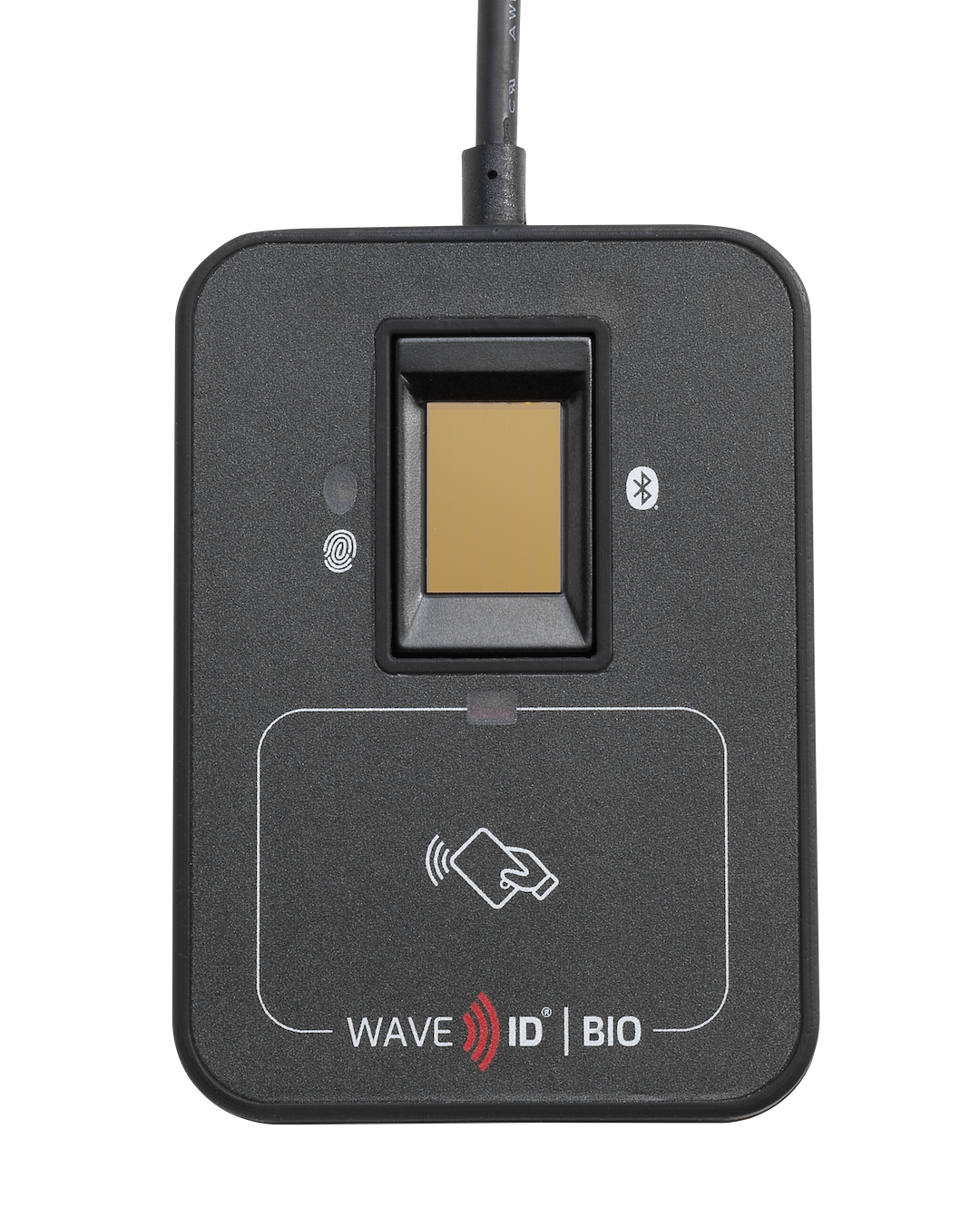 USB RFID Reader - Rfideasshop - Medium