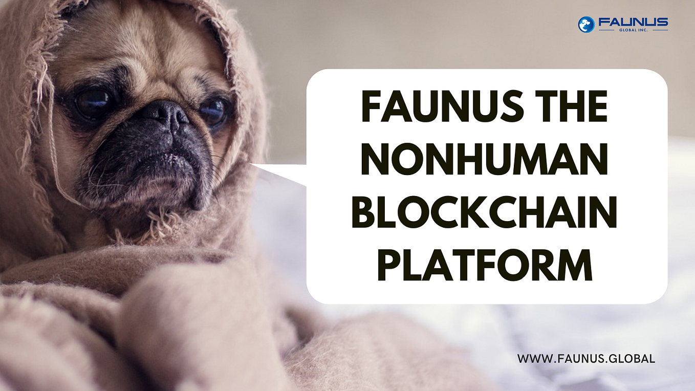 FAUNUS Platform - FAUNUS Global - Medium