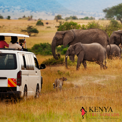 Beyond the Beach: Unique Mombasa Excursions | by Kenya Tru Nomads Tours ...