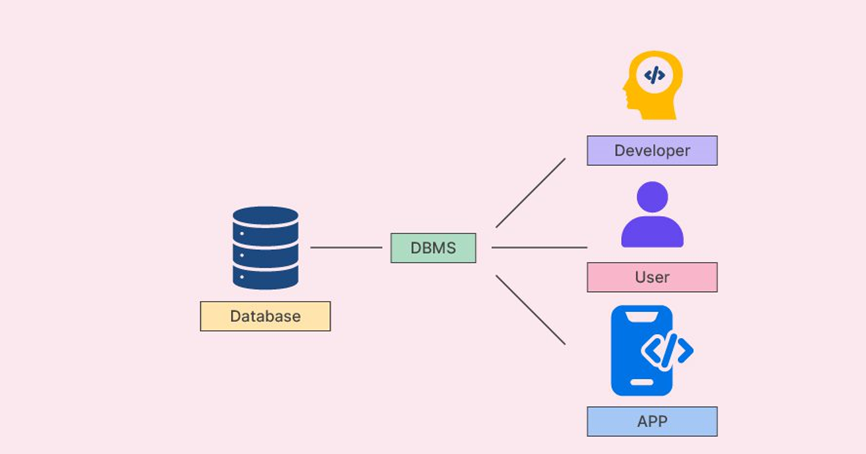 7 TYPES OF KEYS IN DBMS. Keys | by Naweeth | Medium