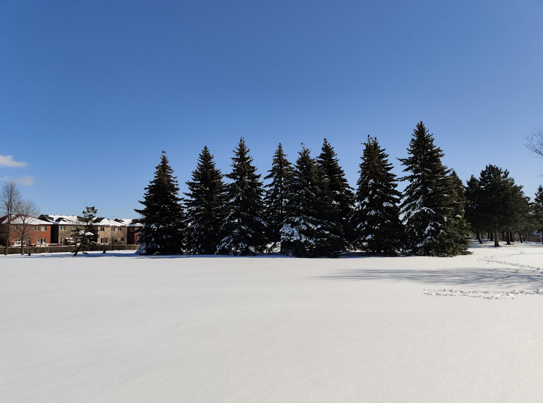 Play With Snowpark UDF In Python Application | by Feng Li | Dev Genius