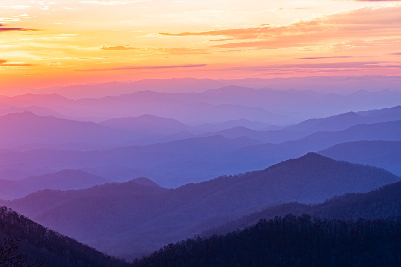 The Universe | by Nicole Hardcastle | Medium