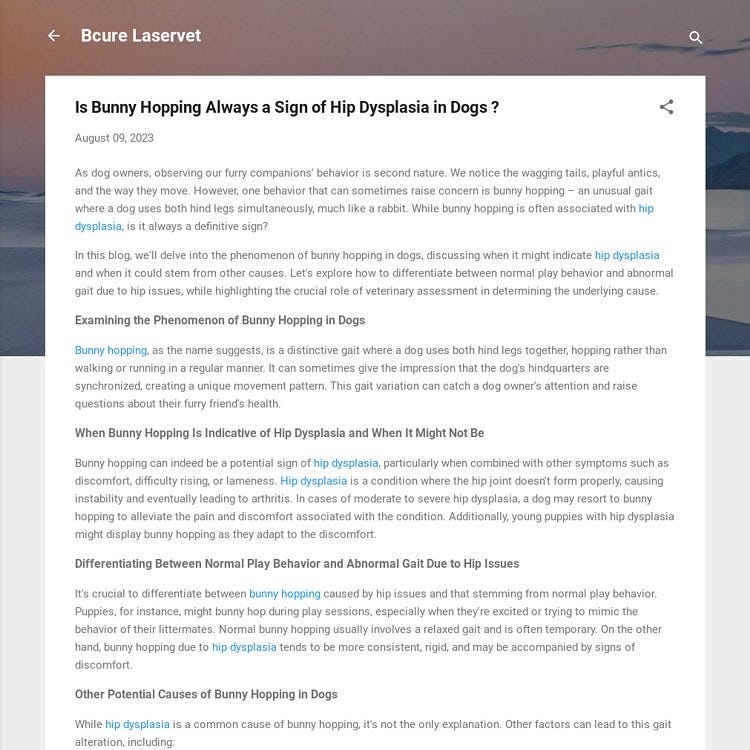 Brighten Your Dog’s Golden Years : The Positive Impact of Laser ...