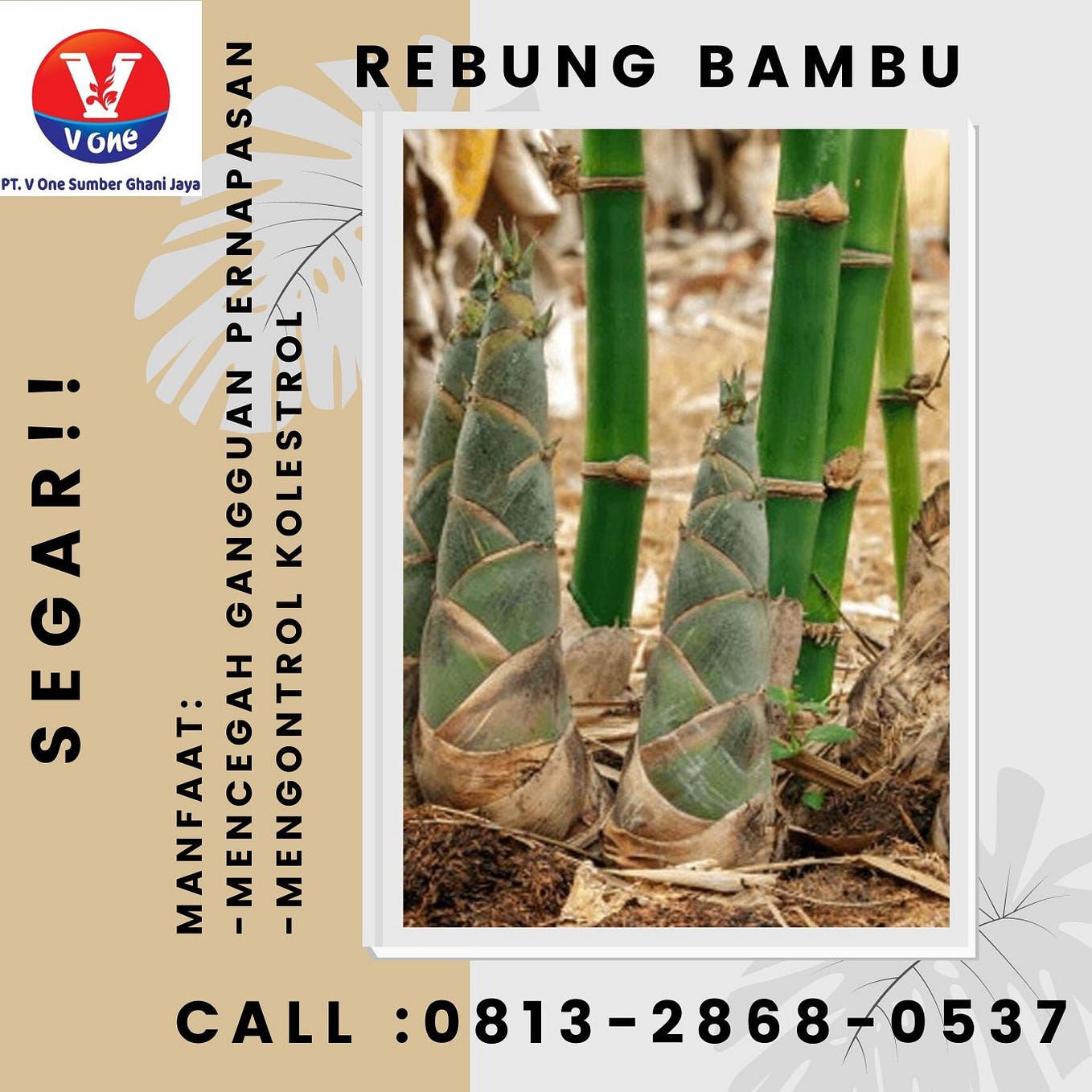 Pusat Budidaya Herbal Rebung Bambu Bermanfaat Tambak Bayumas - Pusat ...