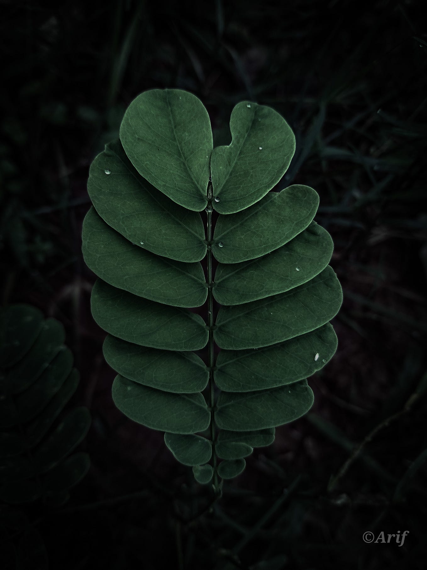 Send an Email with HTML template and context data from a Django project ...