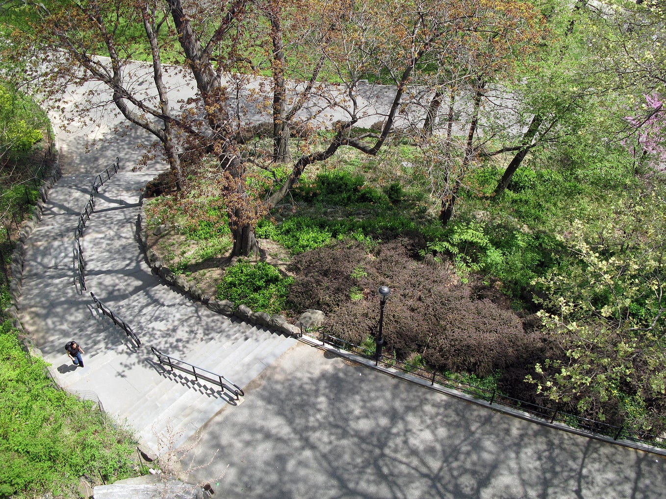 Lenox Terrace’s Last Stand. A celebrated Harlem apartment complex… | by ...