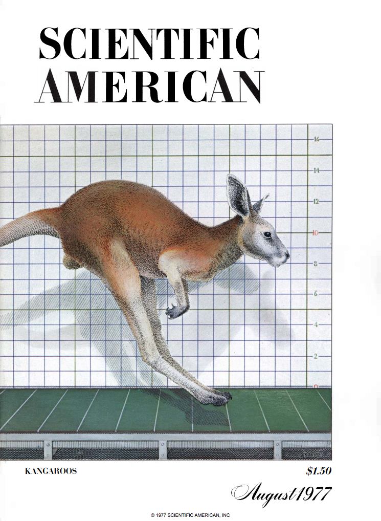 The Power Of Functional Programming In Javascript By Steven Ellis Itnext 0801